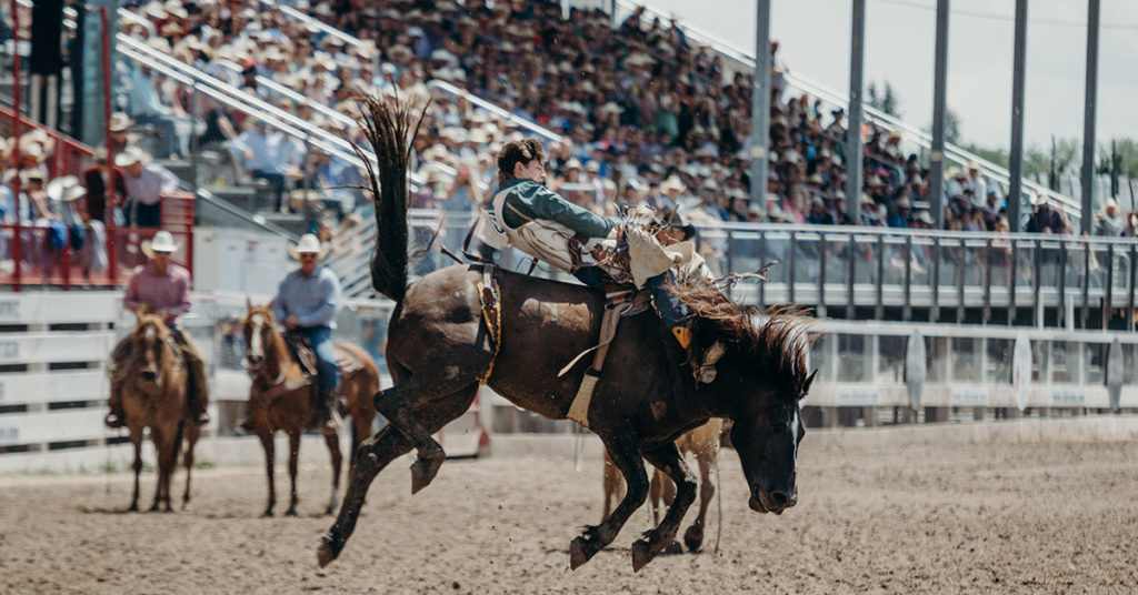 Ride’m Cowboy…and Cowgirl | Tennessee 4-H Youth Development