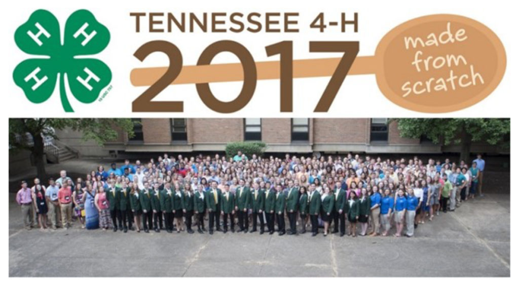 4-H Roundup: Showcasing Excellence | Tennessee 4-H Youth Development