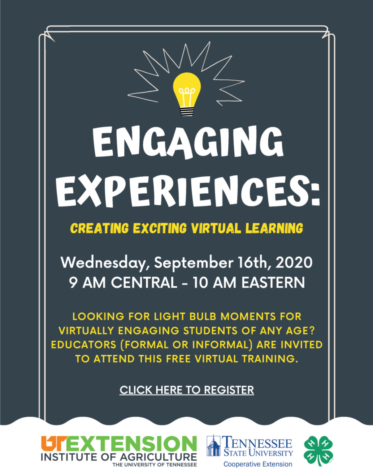 Engaging Experiences | Tennessee 4-H Youth Development