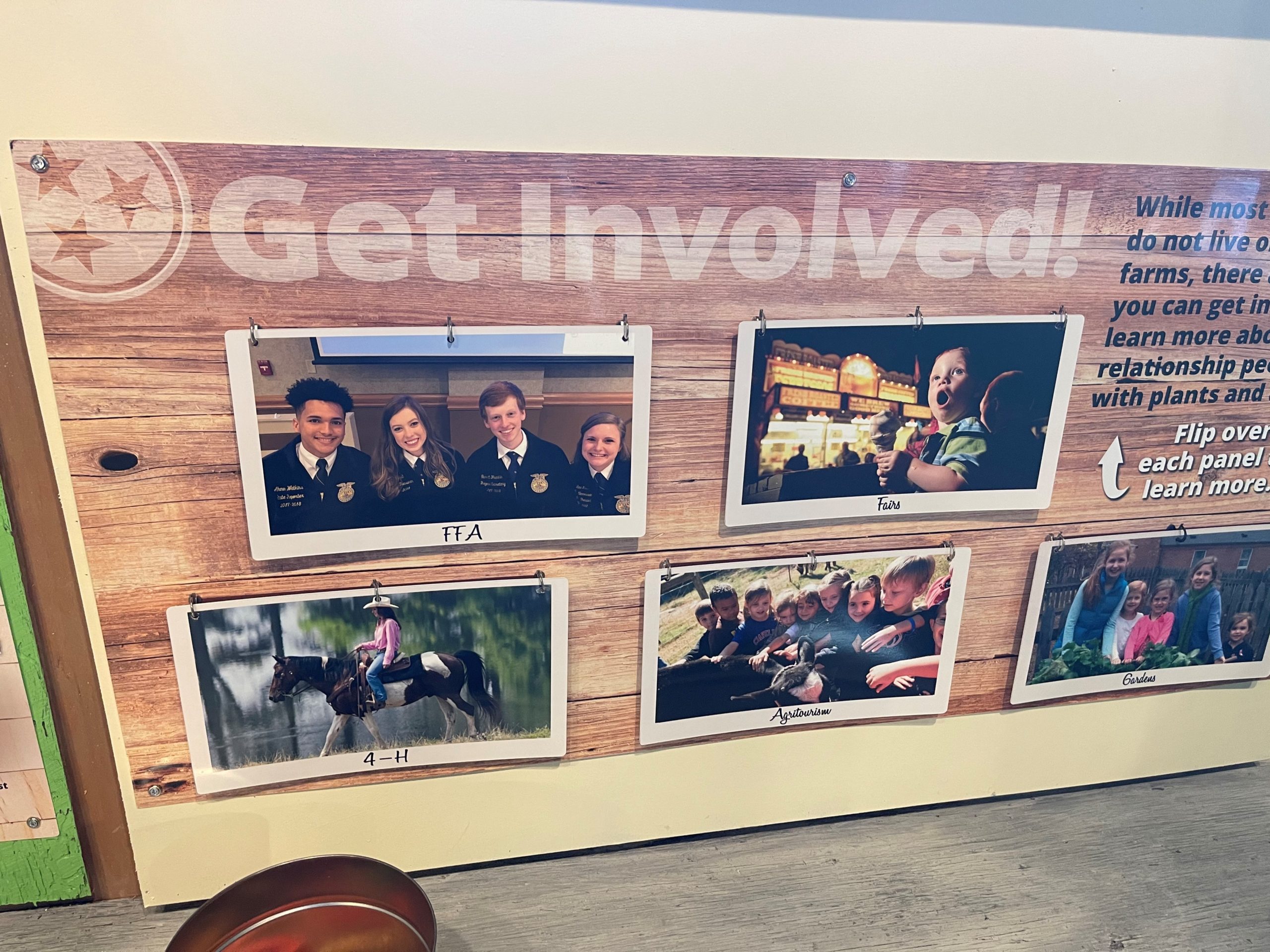 A Piece of 4-H History? | Tennessee 4-H Youth Development