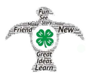 National 4-H Volunteer Conference | Tennessee 4-H Youth Development