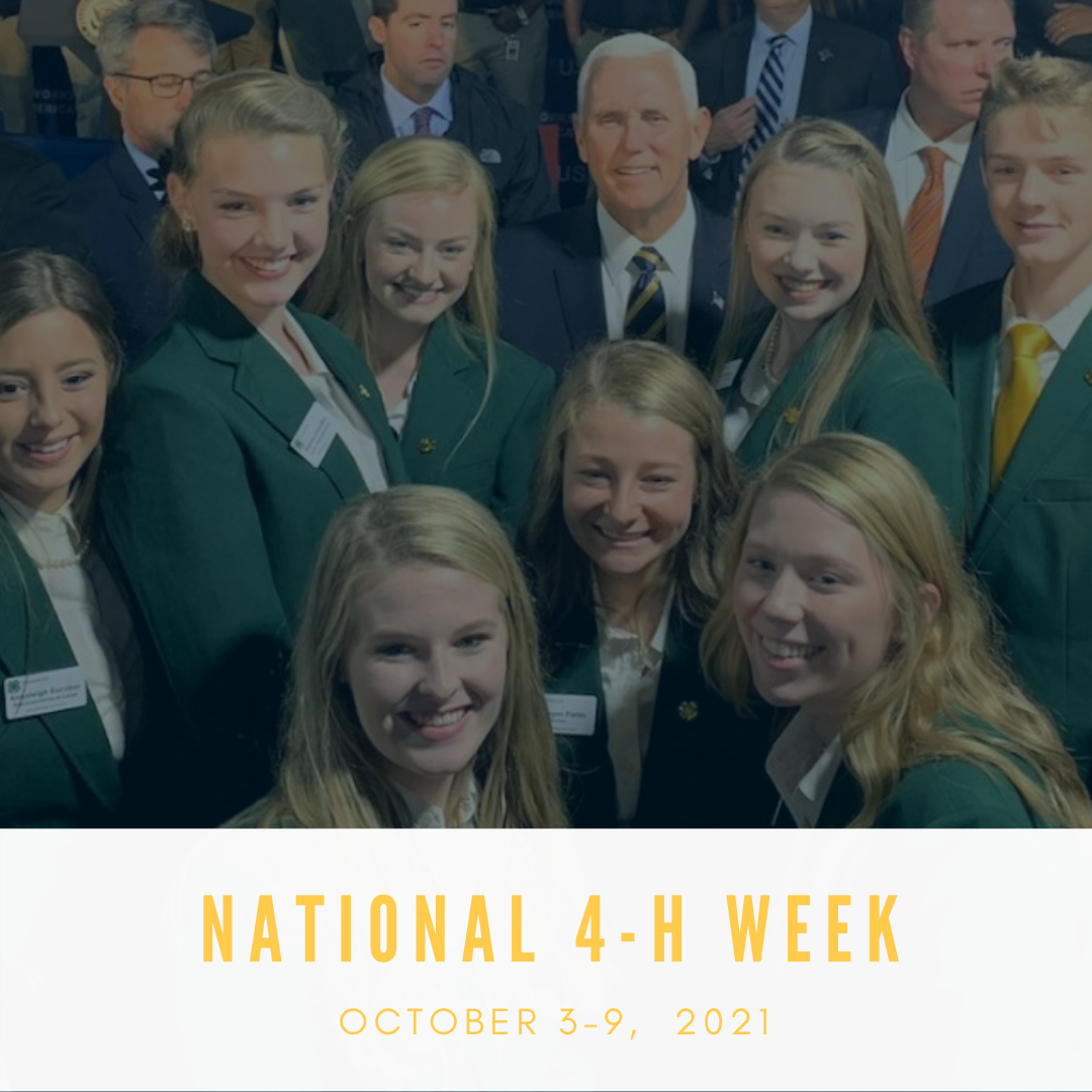 Happy National 4-H Week! | Tennessee 4-H Youth Development