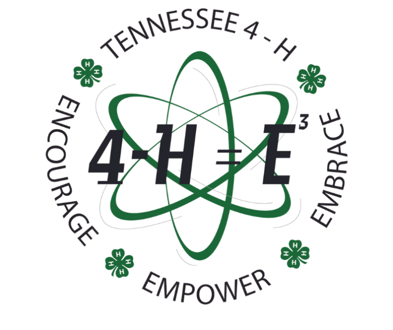 Tennessee 4-H Roundup and All Star Conference | Tennessee 4-H Youth Development