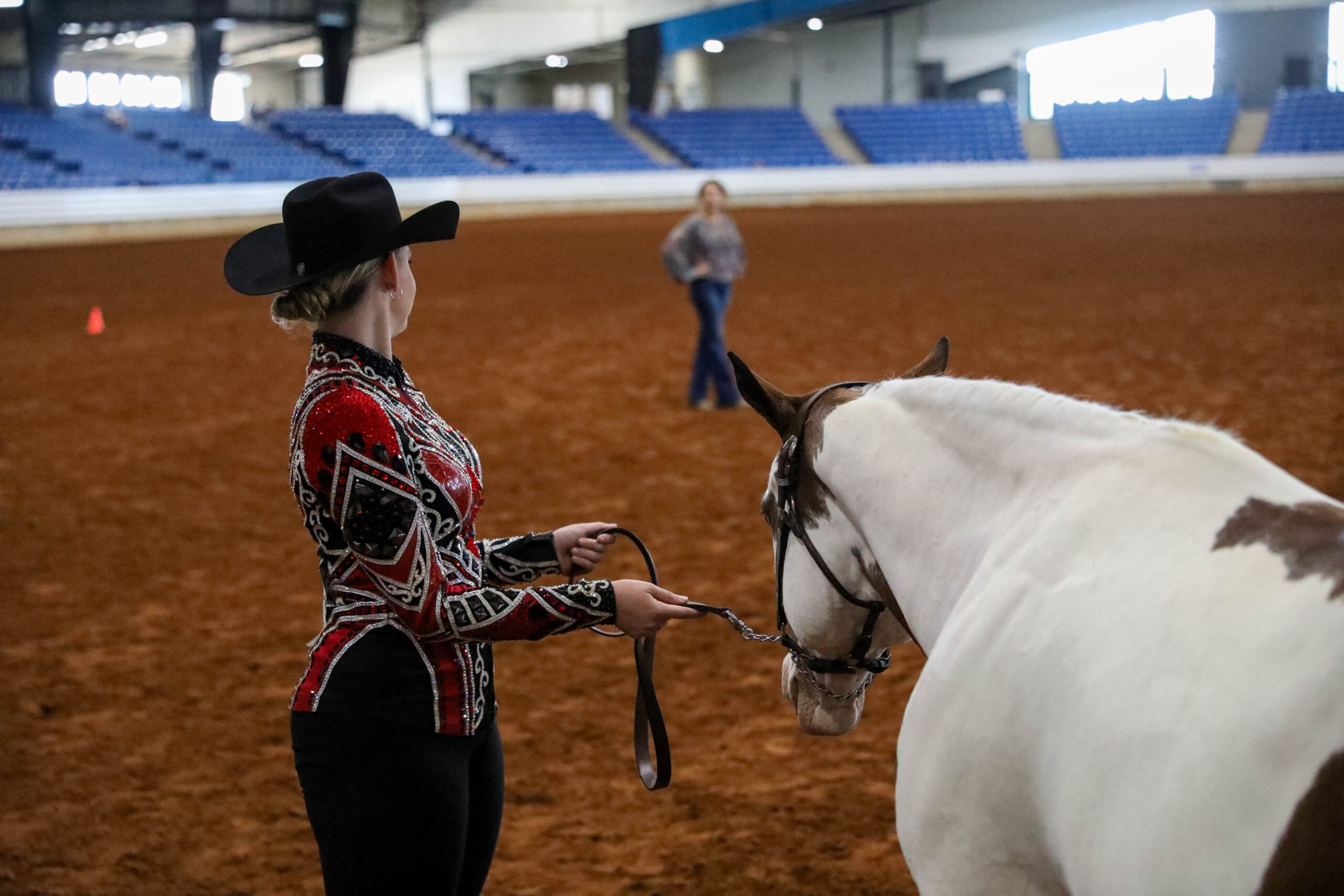 Horse Project | Tennessee 4-H Youth Development