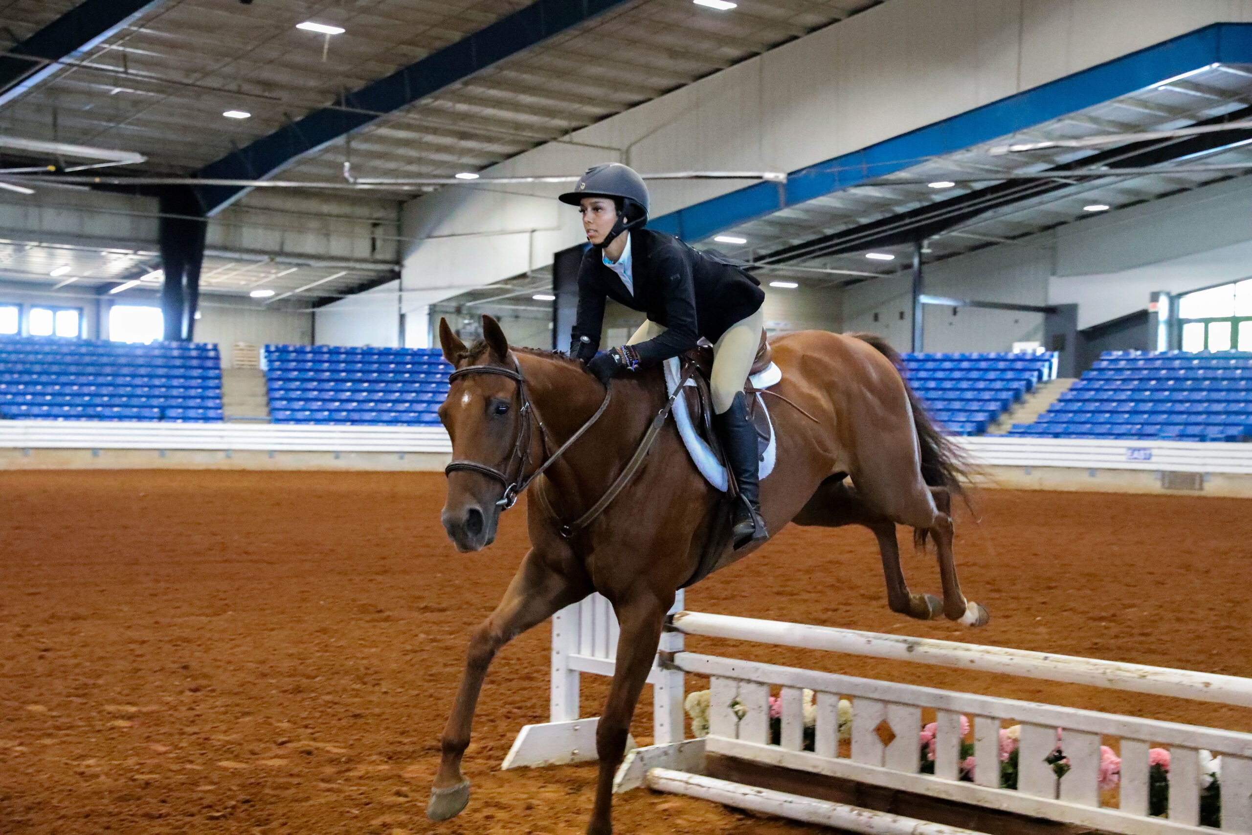 Horse Project | Tennessee 4-H Youth Development