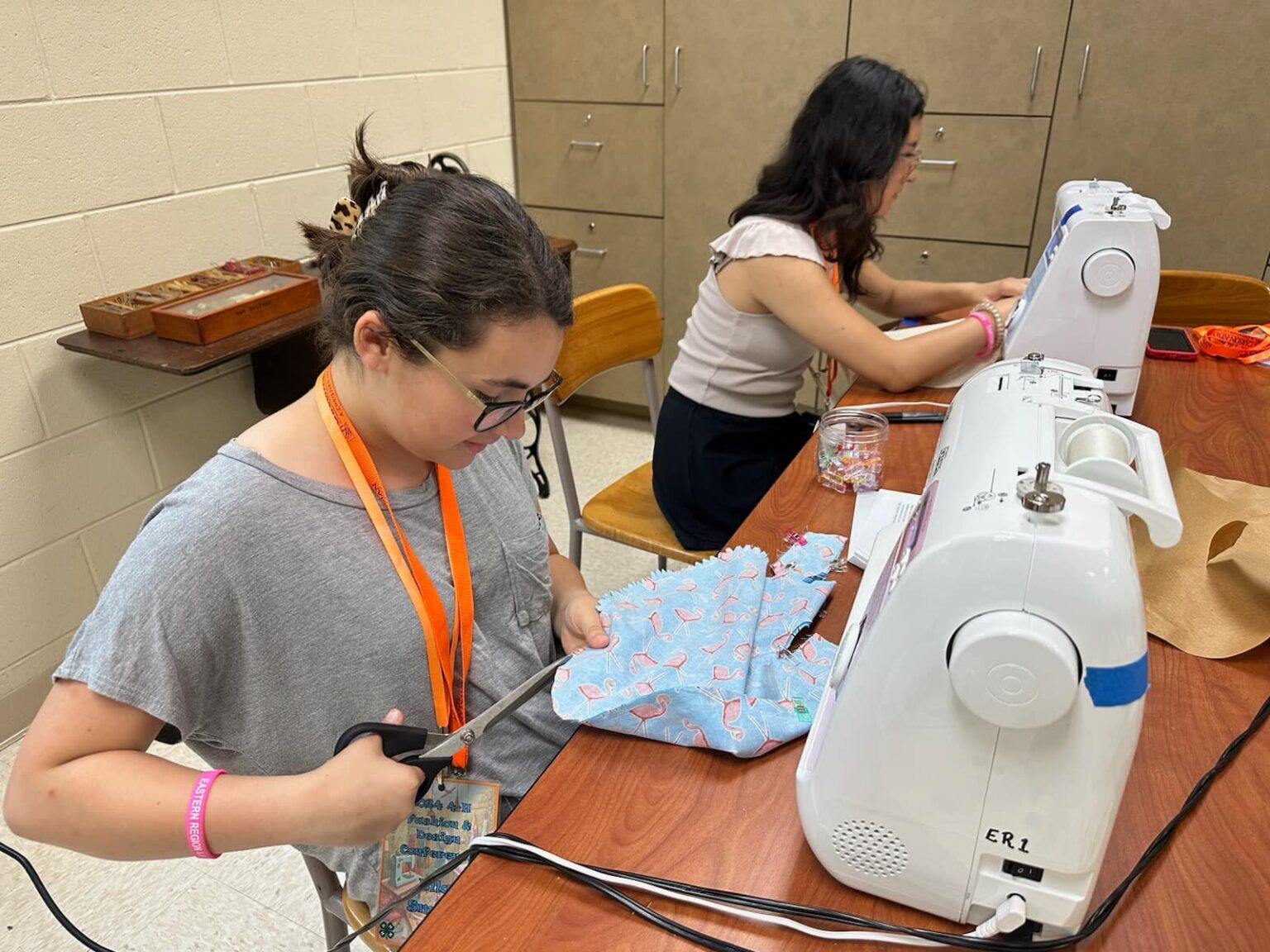 4-H Project Areas | Tennessee 4-H Youth Development