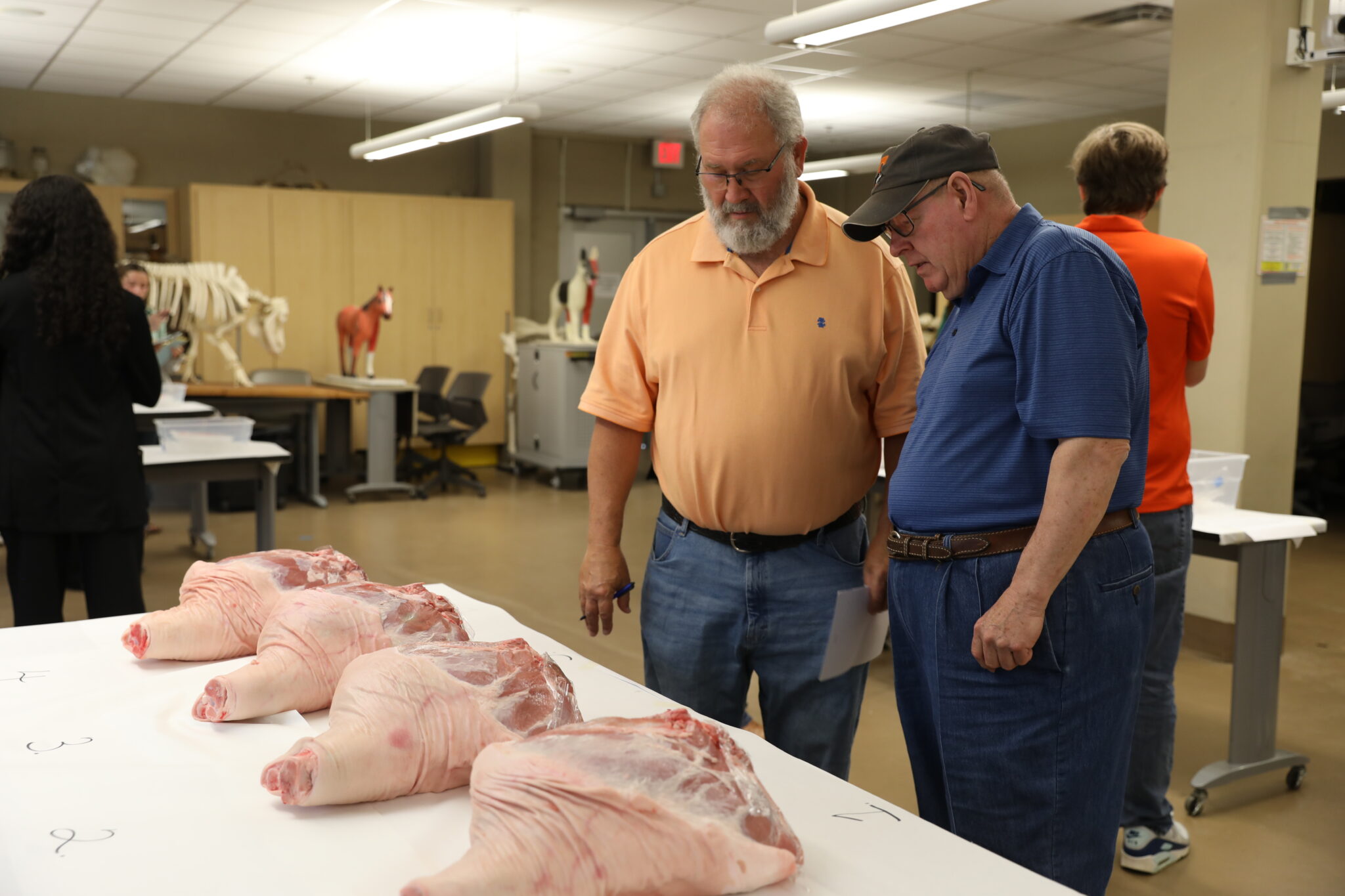 Meats Judging | Tennessee 4-H Youth Development